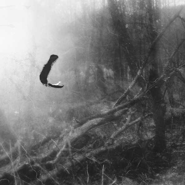 Ali Murray - Spectral Birds | Album