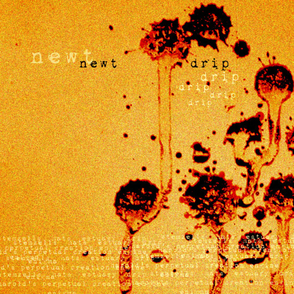 NeWt and Johnny Griffith - Drip | Album