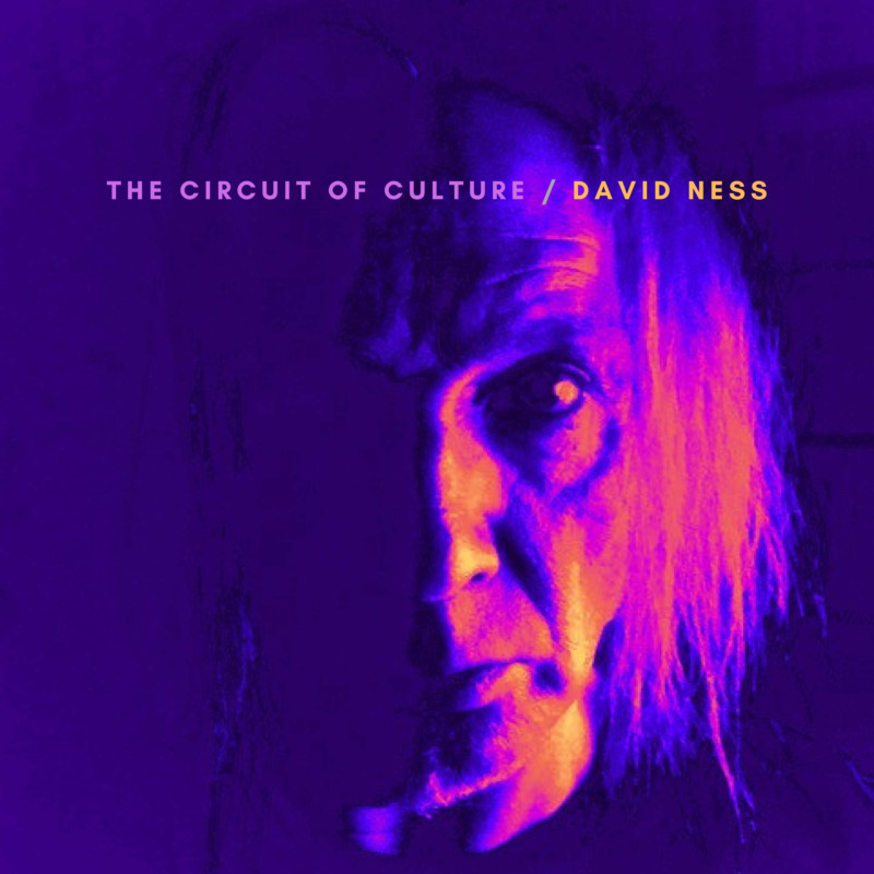 David Ness - The Circuit of Culture | Album